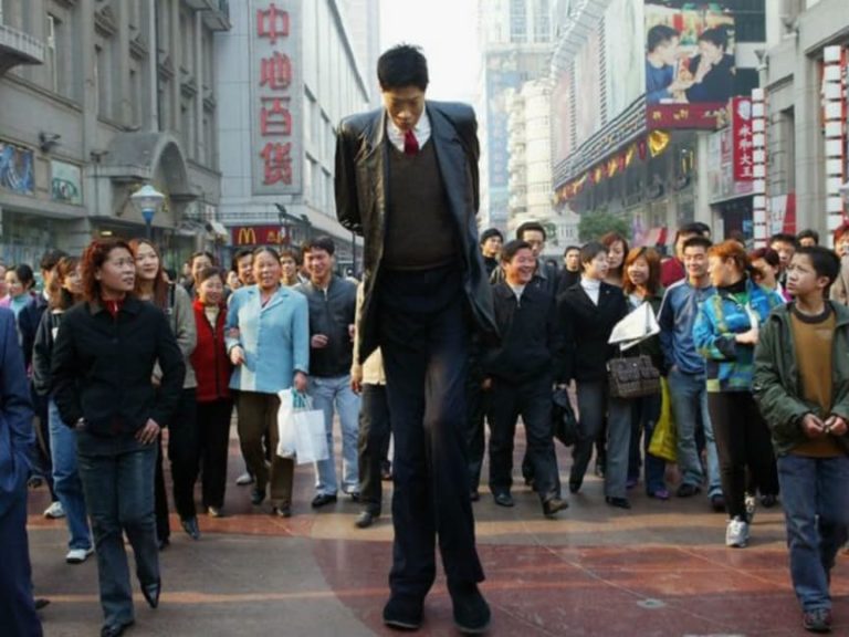 Kuora: Genetics and diet: why northern Chinese people are taller than ...