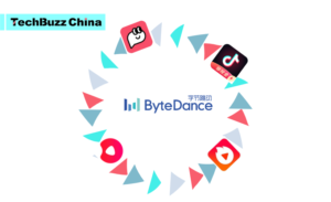 Pipixia – The China Project