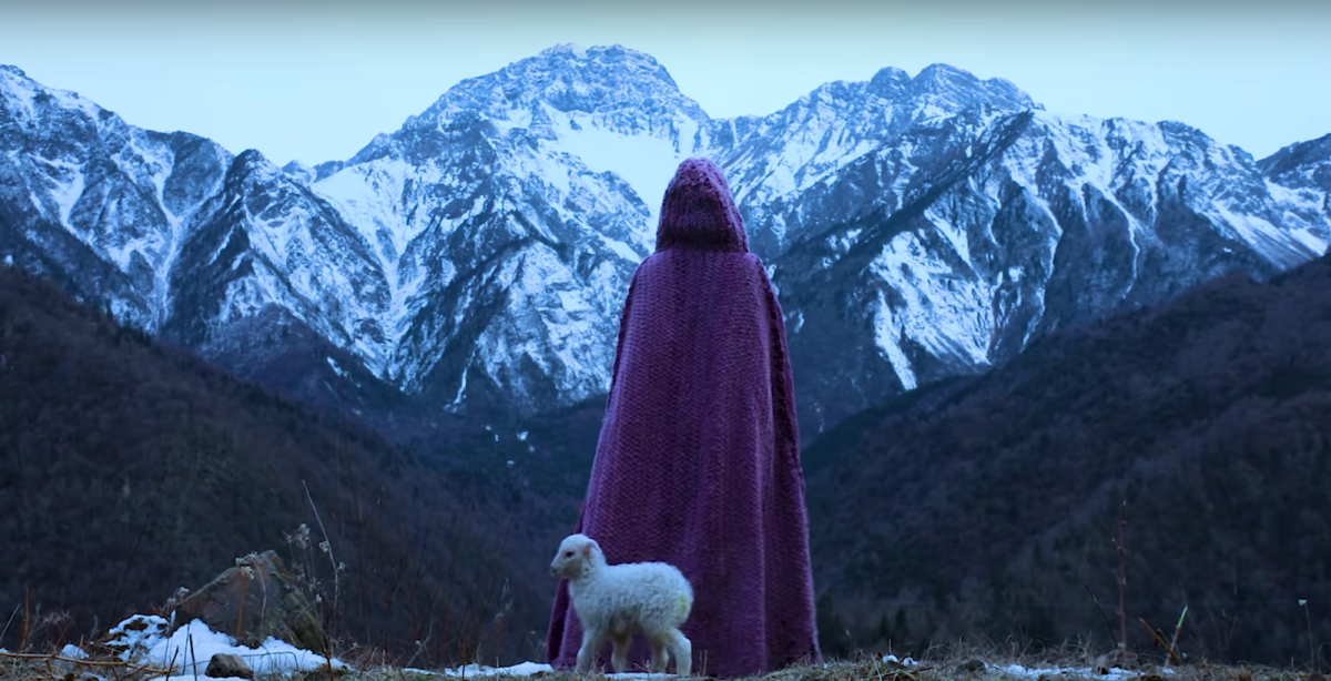 Li Ziqi, the new face of China's countryside – The China Project