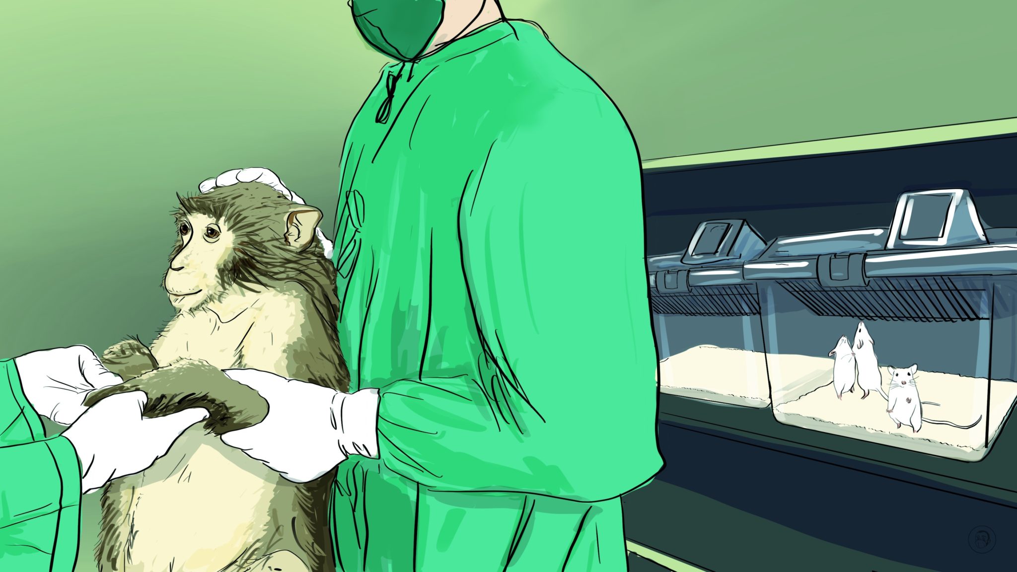 COVID’s monkey business: The booming market for laboratory test animals ...
